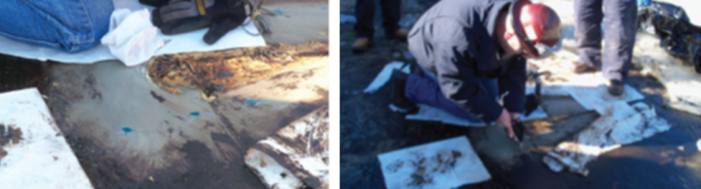 WRAP | Above Ground Storage Tanks – Repairing Roof Top Leaks In-Service